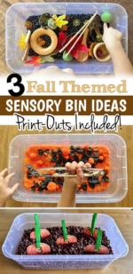 3 Easy Fall Sensory Bins Your Kids Will Love - Kids Kubby