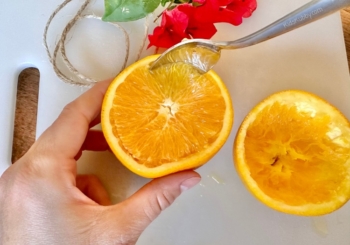 DIY Bird Feeder Craft Made With Oranges - Kids Kubby