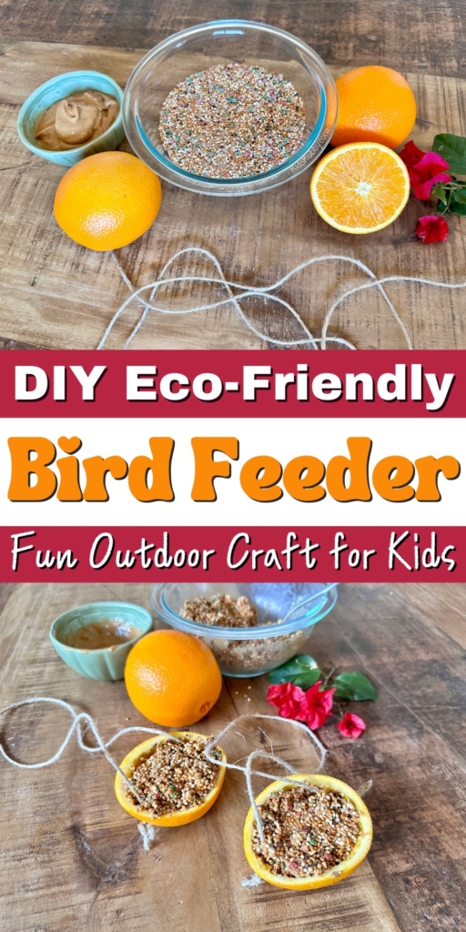DIY Bird Feeder Craft Made With Oranges - Kids Kubby
