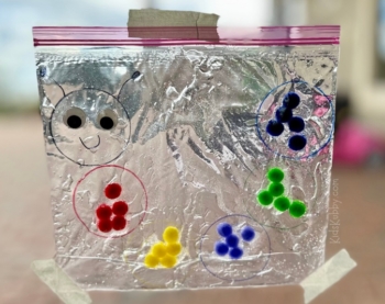 Caterpillar Color Sorting Sensory Bag