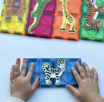 Magnetic Tile Sticker Match