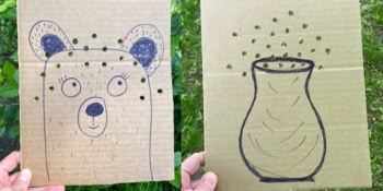 Nature Boards (Creative Outdoor Activity For Kids)