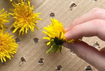 Nature Boards (Creative Outdoor Activity For Kids)