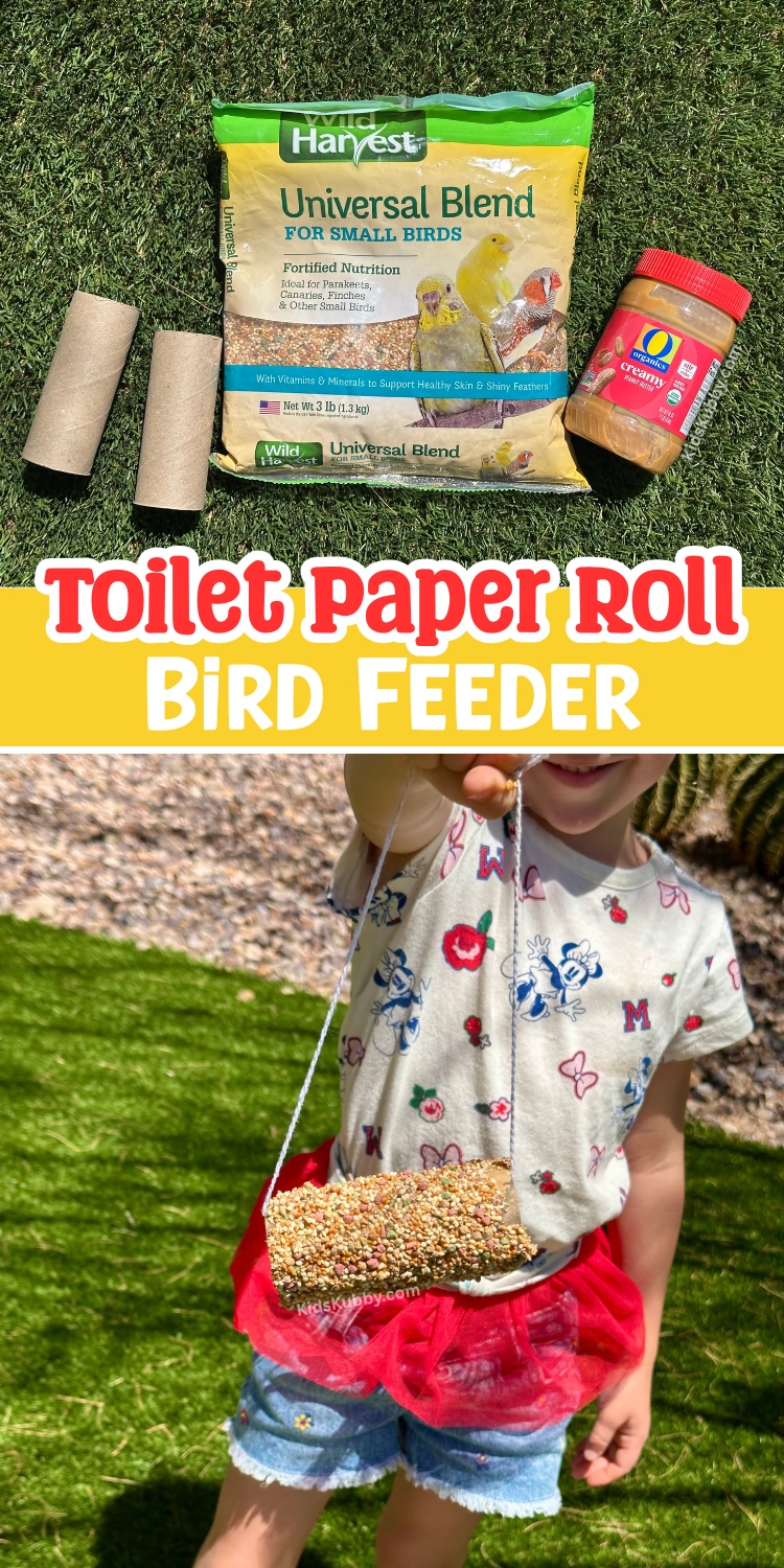 Toilet Paper Roll Bird Feeder | Sticky Fun For Kids