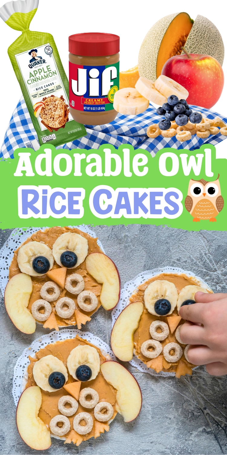 Easy & Fun Owl Rice Cakes For Breakfast